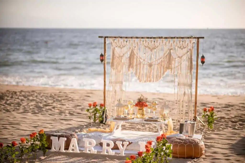 Willow and Wave Events